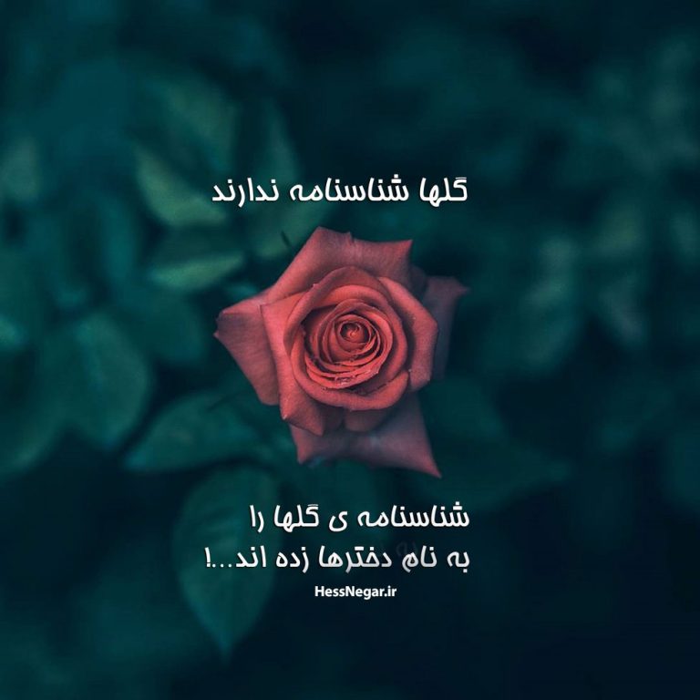 عکس نوشته دخترونه حس نگار